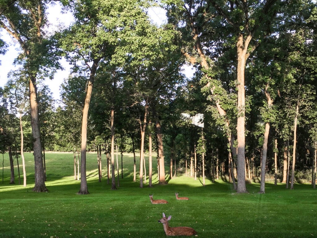 Developments - Schilling Development